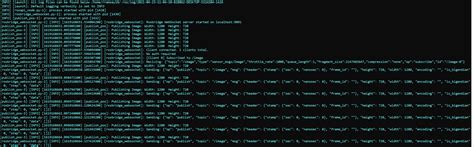 ROS Bridge Connecting But Not Messages Being Received Issue Siemens Ros Sharp GitHub