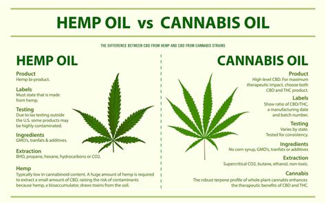 Hemp And Cannabis All The Differences To Know