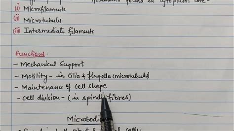 Cytoskeleton Class 11 Biologynotes Ncertbiologynotes Cytoskeletonclass11 Biology Notes
