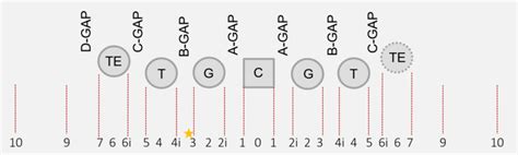 Gap And Alignment Numbering Sealand Seahawks