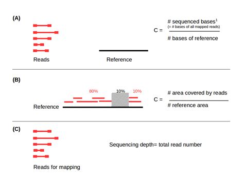 How To Calculate The Coverage For A Ngs Experiment