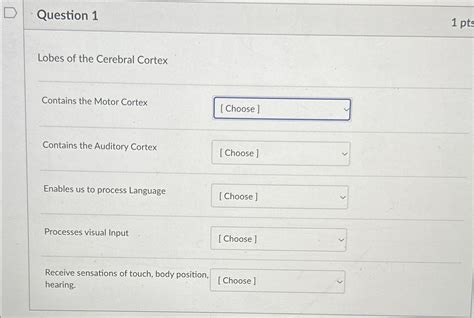 Solved Question 1lobes Of The Cerebral Cortexcontains The