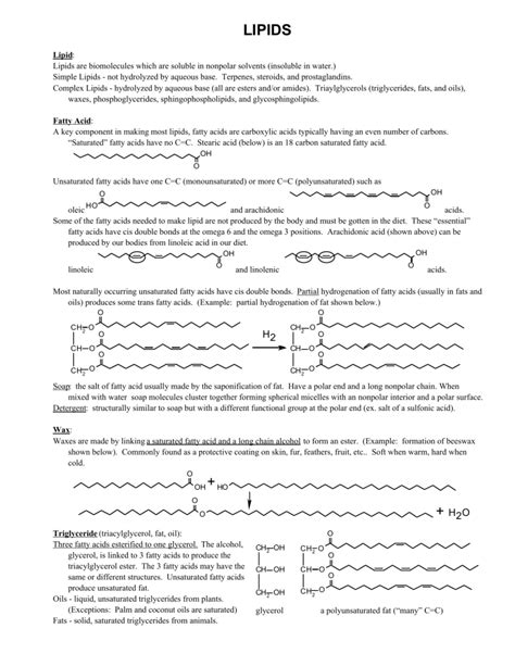 LIPIDS
