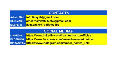 Link Building Data Sheet Ameer Hamza ☑️