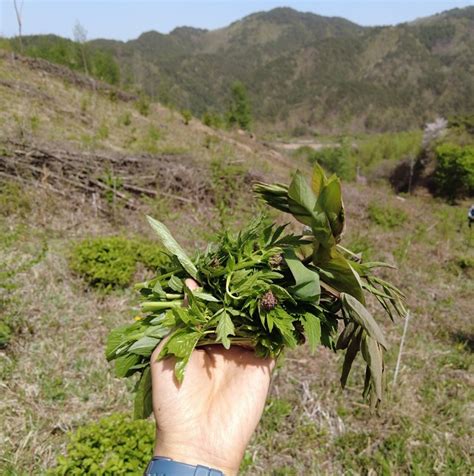 로컬큐레이션채널 로컬홀릭