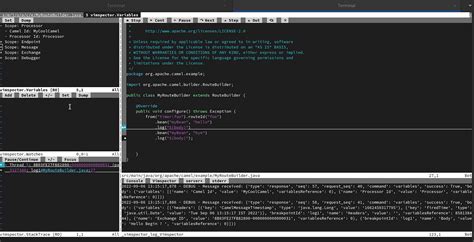 Vim Debug Adapter Client For Apache Camel By Navyashree Medium