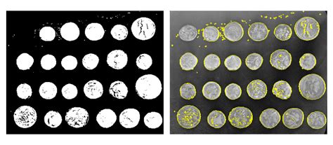 33116 Segmentation Contours — Scientific Python Lectures