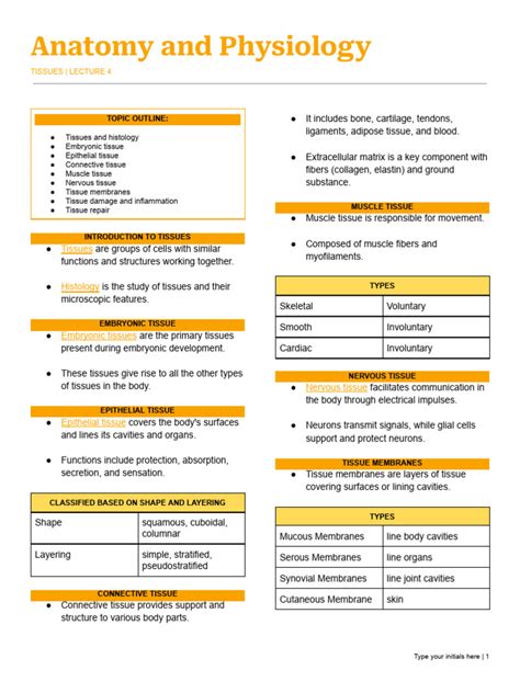 Tissues Lecture 4 Santiago Pdf Tissue Biology Connective Tissue