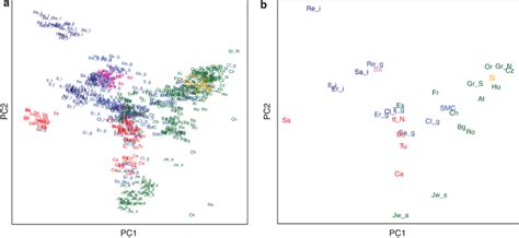 Model Based Mapping Convergence With Spa Label Position Indicates The