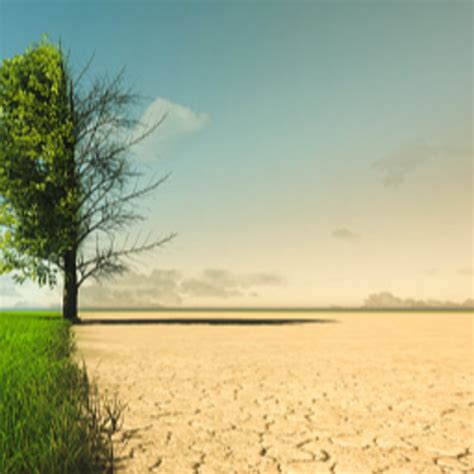 Saadia Aslam Blogging Blogging Xing