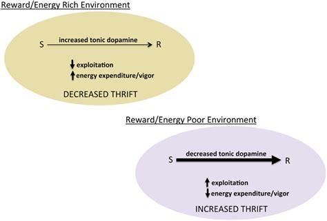 How To Balance Exploration And Exploitation In