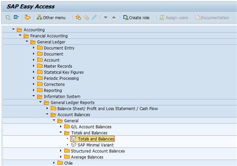Sap Fico Gl Reporting