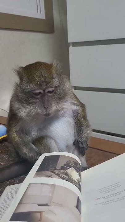 공부가 제일 쉬웠어요 Youtube