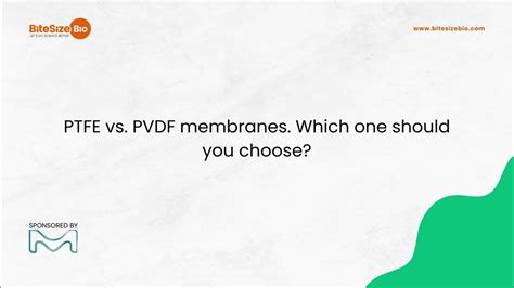Ptfe Vs Pvdf Membrane Filters Which One Should You Choose Youtube