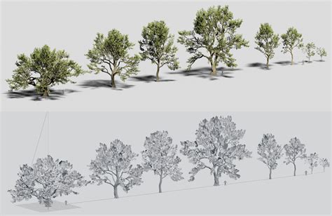 3d Model Realistic Broadleaf Oak Trees For Games Vr Ar Low Poly