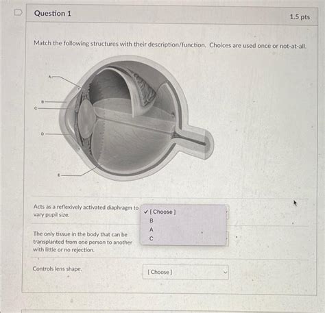 Solved Question Pts Match The Following Structures Chegg