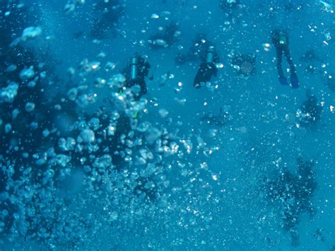 Nassimo Thila Großfischparadies Reisen Und Tauchende