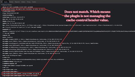 Page Caching Not Working For Both Dynamic And Static Pages
