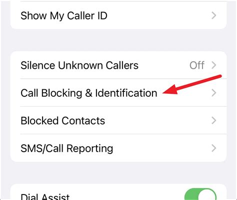 문제 해결 가이드 iPhone에 최근 통화가 표시되지 않음