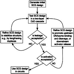 Flowchart Of The Iterative Design Process