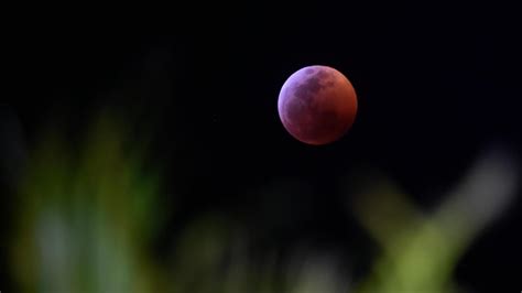 Blink And You Missed It