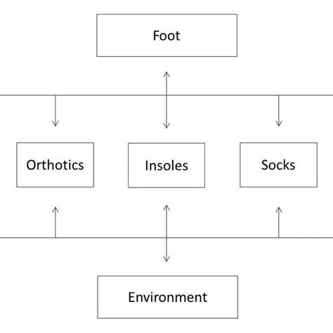 Pdf Athletic Footwear Research Effects Of Shoe Construction And Relationships Of Evaluation