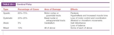 Clasificarea Datelor Pentru Algoritmi Flashcards Quizlet
