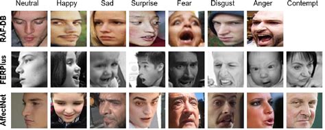 Figure 1 From Learning Local Attention With Guidance Map For Pose Robust Facial Expression