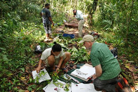Assessing Ecosystem Health With Environmental Analytics A Step By Step