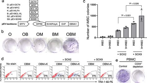 Oct4 Alone Was Insufficient To Direct Reprogramming Of Human Pbmcs Into