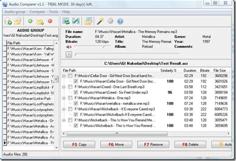 how to find and remove duplicate audio files