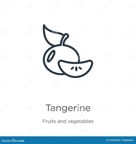 Tangerine Icon Thin Linear Tangerine Outline Icon Isolated On White Background From Fruits
