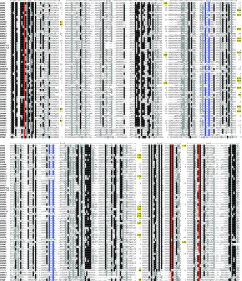 Alignment And Box Classification Of Human Usp Domains Multiple