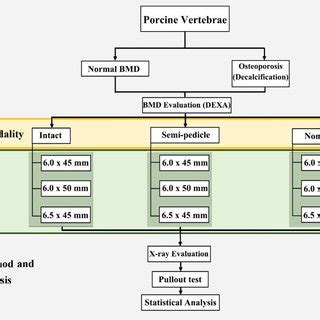 A Flowchart Of The Study Design Download Scientific Diagram