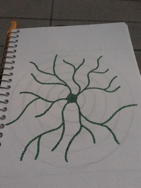 “branching Out” The Story Of Sholl Analysis Sciart That Ll Make You