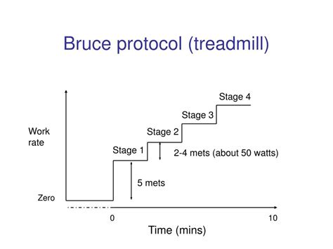 Treadmill Exercise Test Modified Bruce Protocol At Eula Lofgren Blog