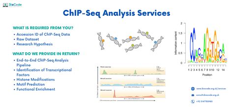 Chip Seq Analysis Services For Website Biocode