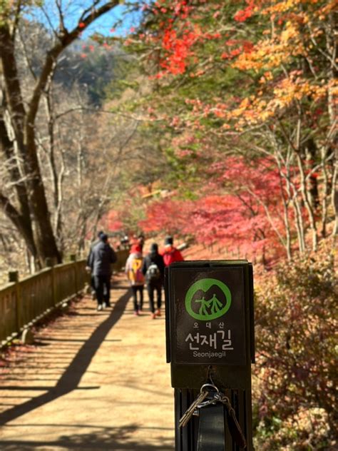 국내여행 강원도 정선 파크로쉬 리조트앤웰니스 객실 및 부대시설 후기 네이버 블로그
