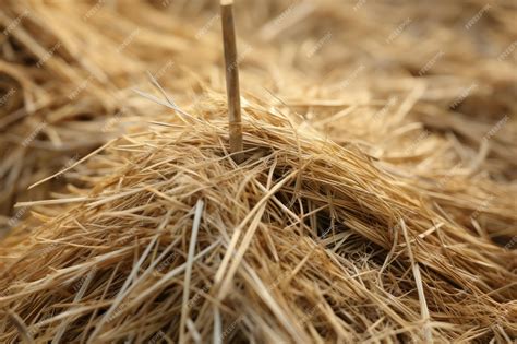 Premium Ai Image Close Up Of Needle In Haystack