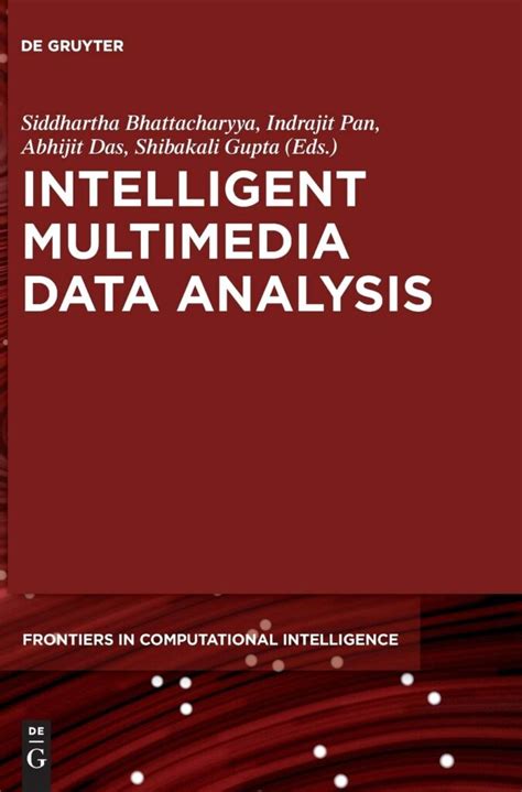 Blind Equalization In Neural Networks Theory Algorithms And