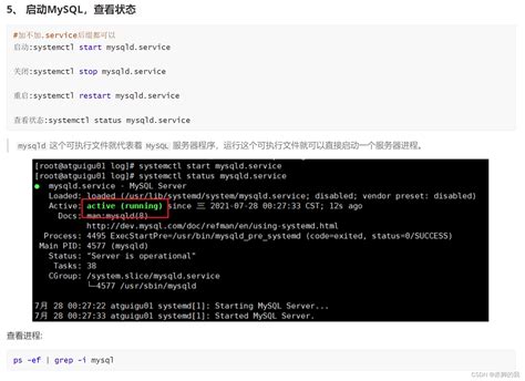 Mysql高级篇学习笔记 Wylja 博客园