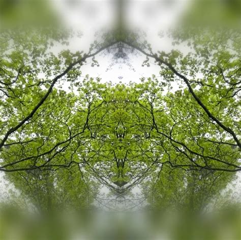 Man Hing Lee On Linkedin The Lovely Summer Arrived So It Was Fabulous To See The Green Leaves