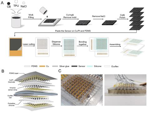 Fabrication Procedures And Assembled Mars Structure A Schematic