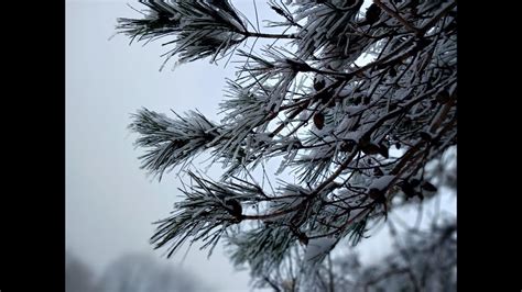 찬바람이불면김지연오카리나조계숙 Youtube