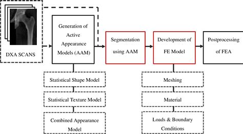 Figure 1 From Statistical Appearance Models For Fast And Automated Estimation Of Proximal Femur