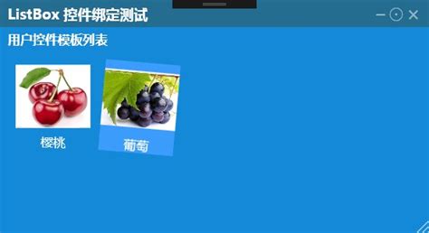 Wpf 用户控件 Datatemplate 数据模板绑定 Binding Double64 博客园