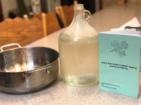 Maple Tree Tapping And Syrup Making Geo Forward