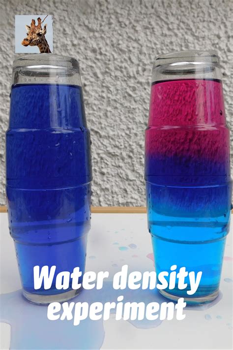 Fascinating Water Density Experiment