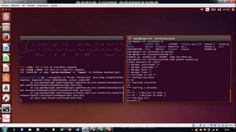 cómo integrar opendaylight con una red personalizada en mininet 2 2