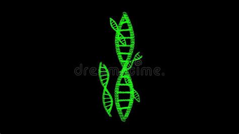 3d Dna Helix Rotates On Black Bg Object Dissolved Flickering Particles Scientific Medical